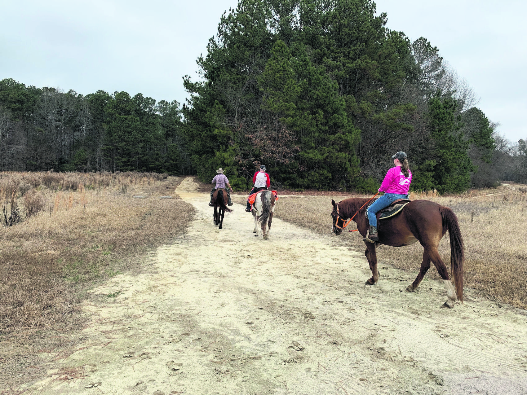 richard stradling rstradling @ newsobserver com lisa and kenneth ...