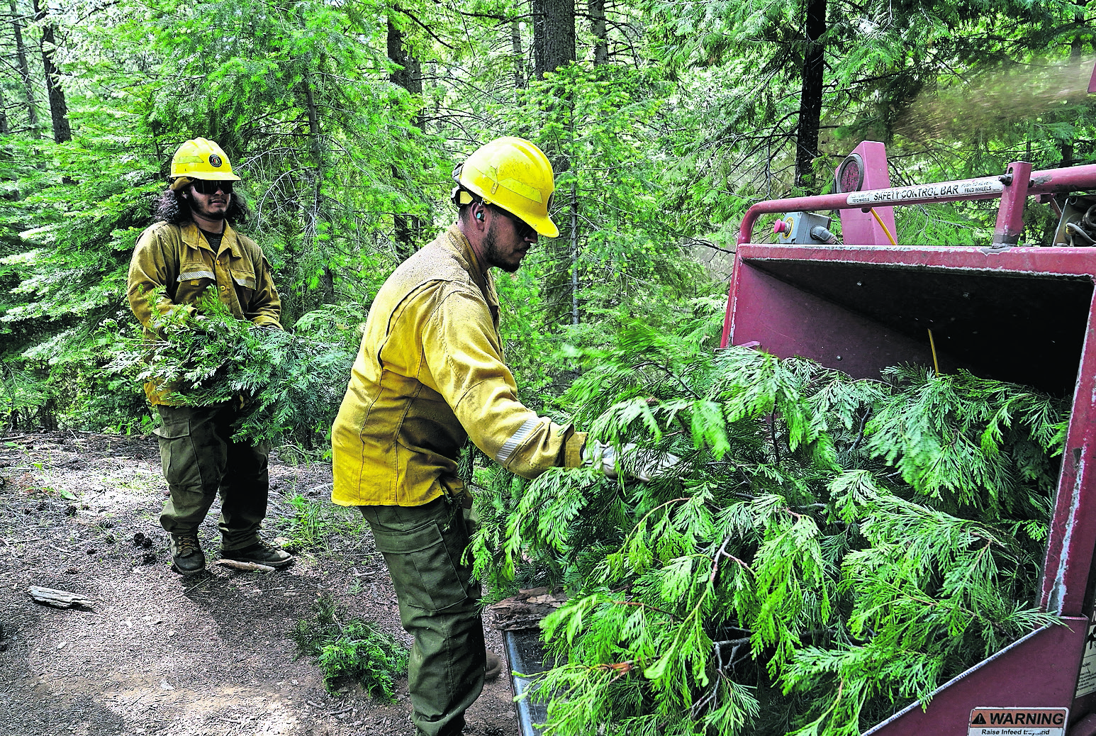 photos by godofredo a vásquez associated press u s forest service crew ...