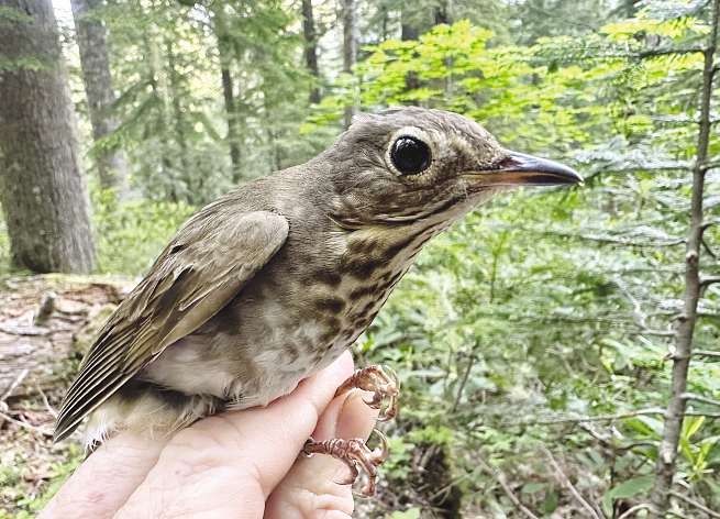 COURTESY OF MATT BETTS