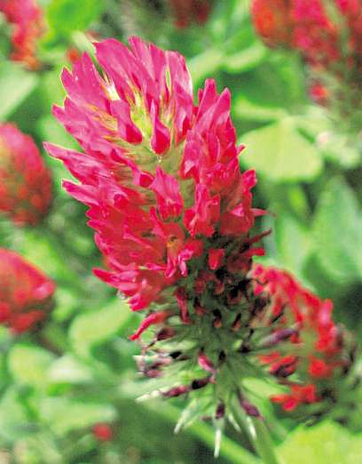 PHOTOS COURTESY OF LAURA MATTER