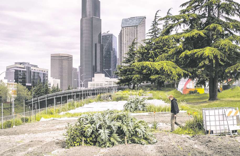 steve ringman the seattle times yes farm is located alongside ...