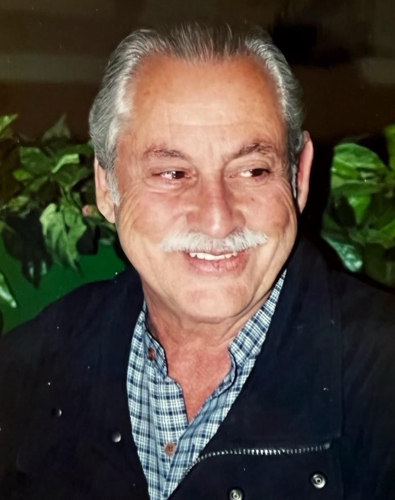 Raymond V. Castello