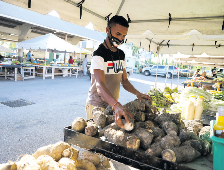 farmer and vendor satyan ramdeen prepares his ground provision for sale ...